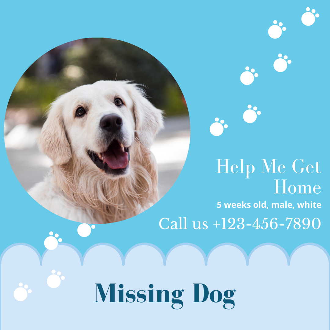 10+ Free Pet Instagram Post Templates - Canva Templates